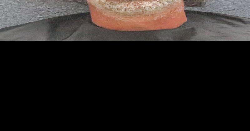 Crime briefs: Seneca man faces multiple charges | News | upstatetoday.com