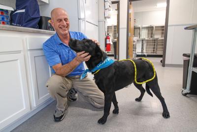 Oconee Humane Society announces changing operating hours | News ...