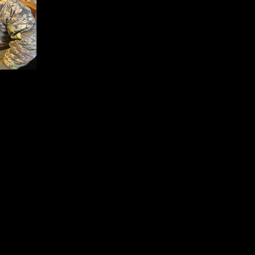 James Bynum | Obituaries | upstatetoday.com