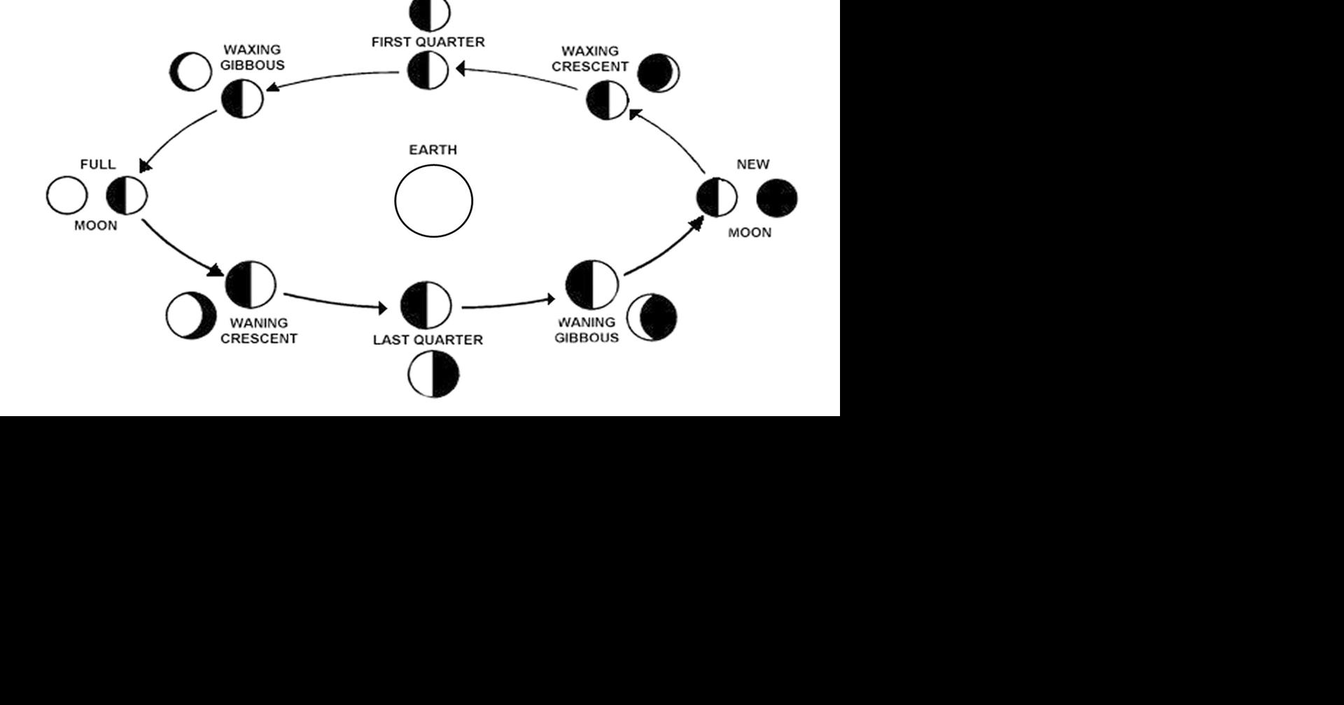 Outdoors: What does Groundhog Day have to do with fishing? | Outdoors ...