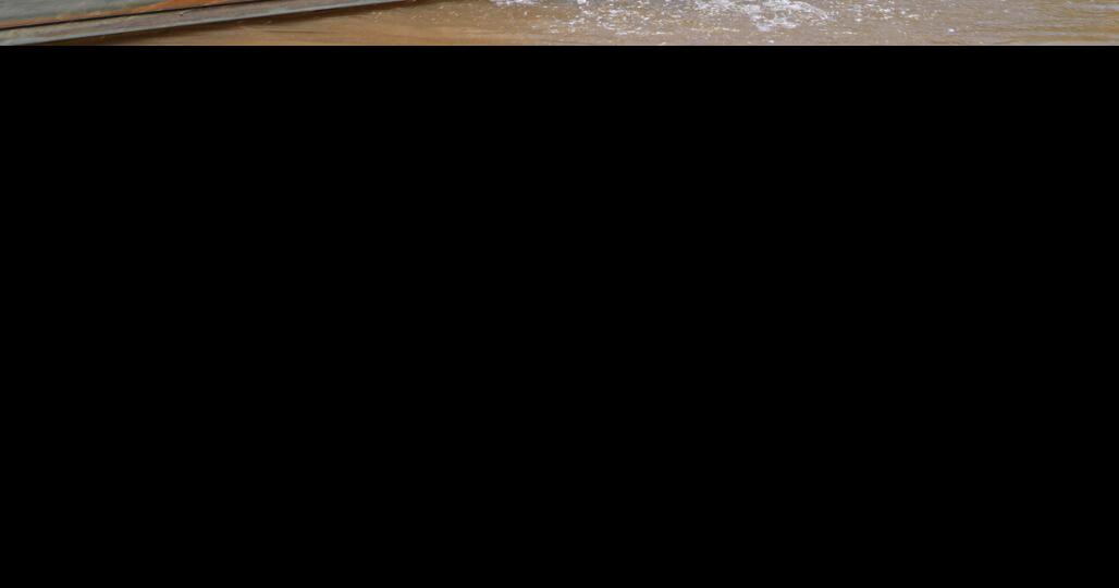 Upstate rivers offer great spring catfishing opportunities | Outdoors ...