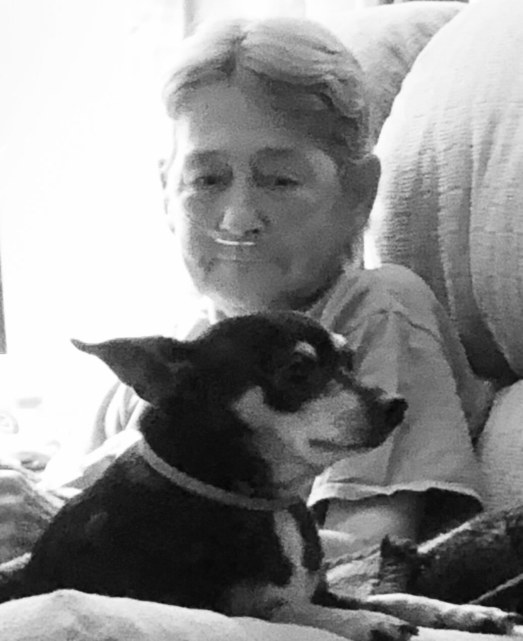 Page D02 | e-Edition | upstatetoday.com