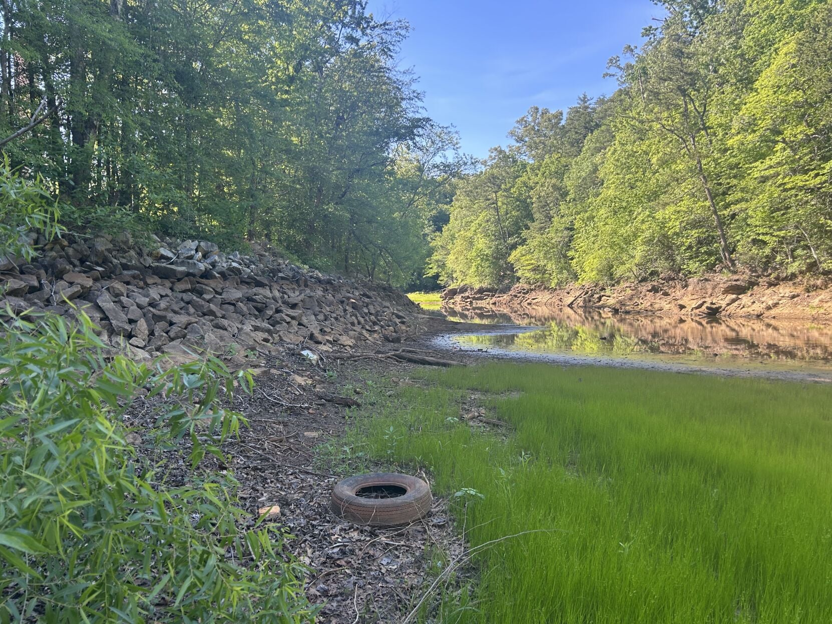 Upstate welcomes rain amid drought | News | upstatetoday.com