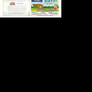 Page B08 | e-Edition | upstatetoday.com