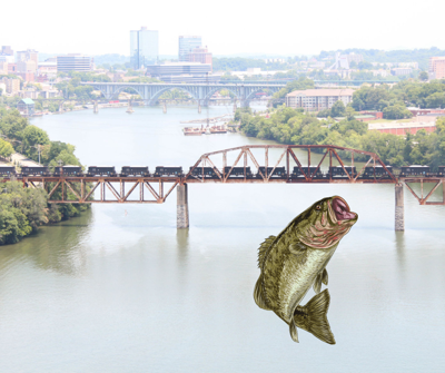 Satire: Bass surprised, saddened to be only survivor of Bassmaster ...