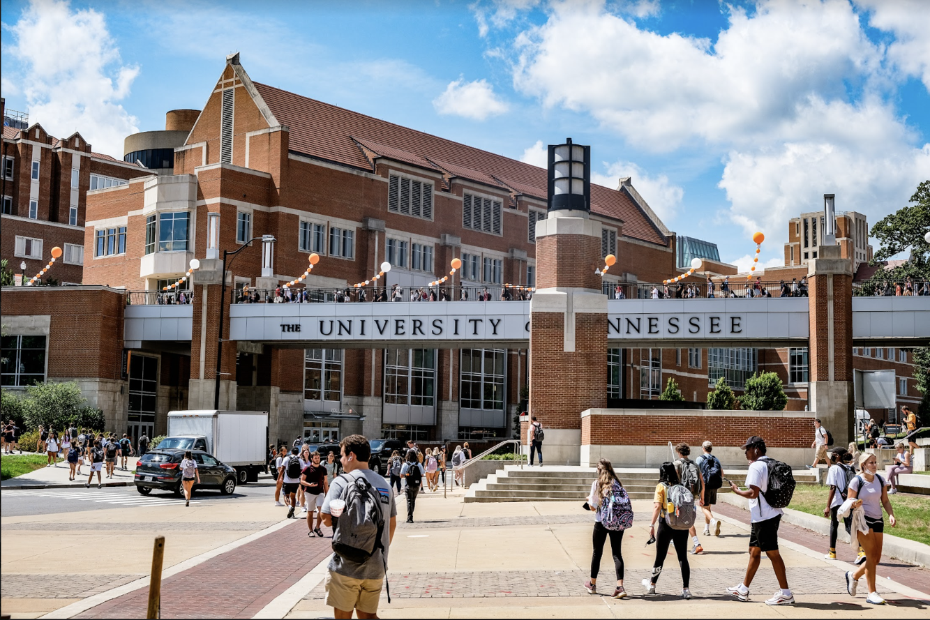 Acceptance rate plummets by nearly 30% in most competitive year in UT ...