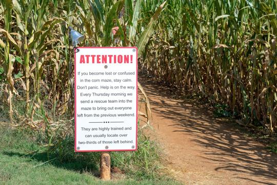 Maple Lane Farms’ 24th year brings largest crowd yet | Entertainment ...