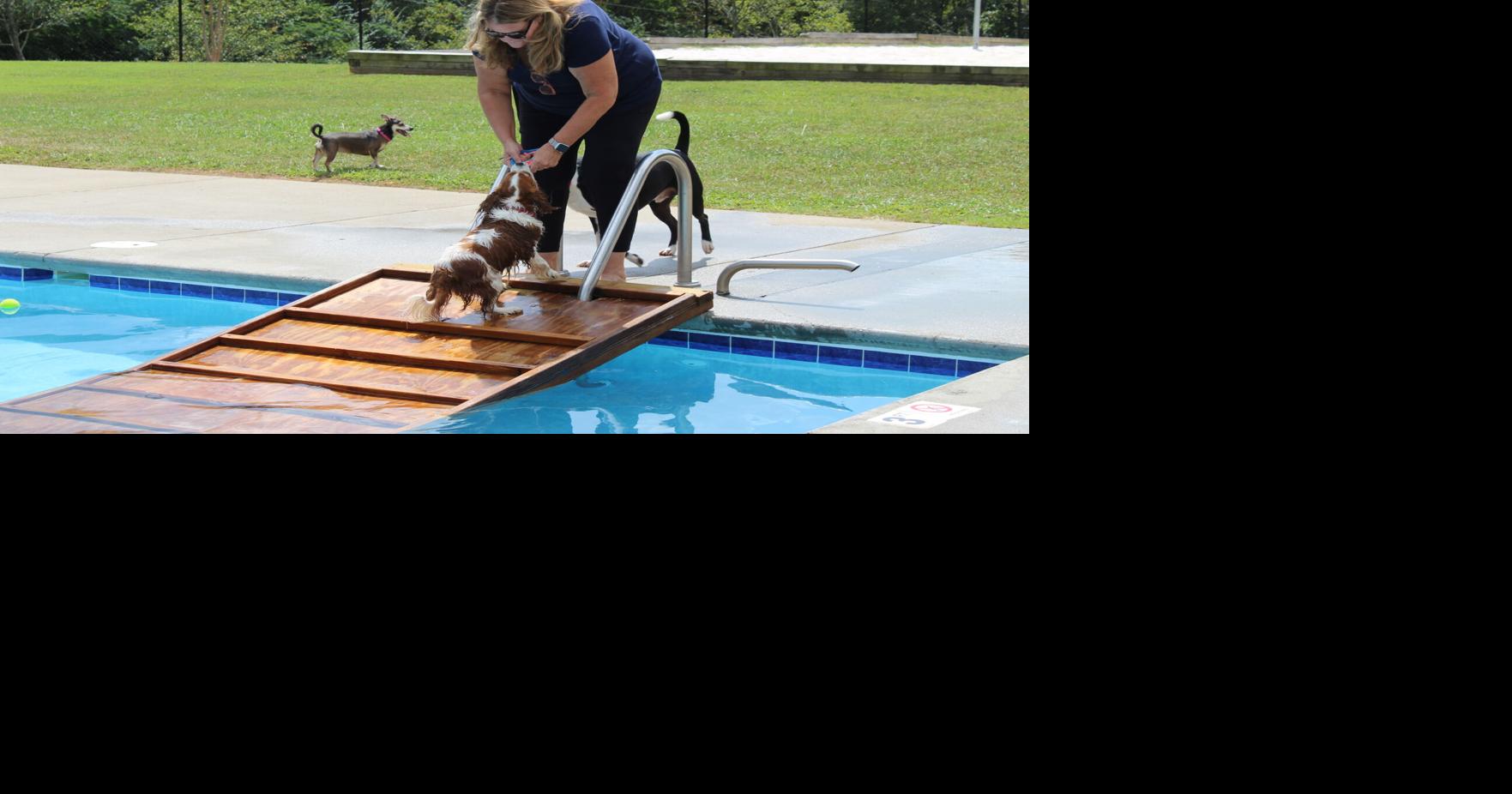 Doggie Dip Day makes a splash at Inskip Pool | Arts And Culture ...