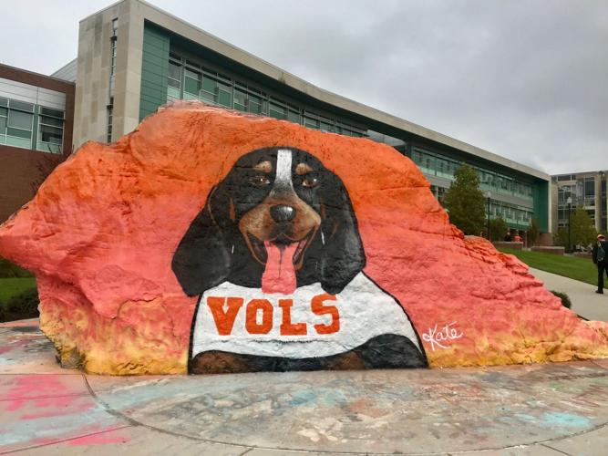 The Rock painter reflects on past legacy, makes her own | Campus Life ...