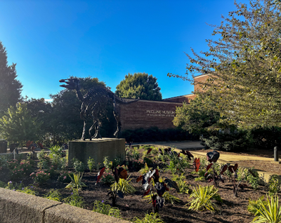 McClung Museum invites students for a morning of yoga in the art museum ...