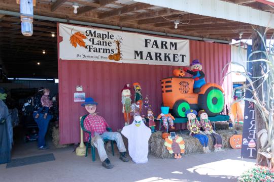 Maple Lane Farms’ 24th year brings largest crowd yet | Entertainment ...