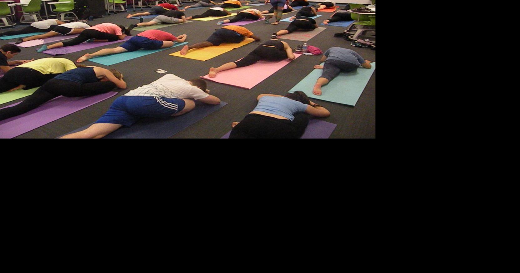 Eight unique classes to consider taking during your time at UT ...