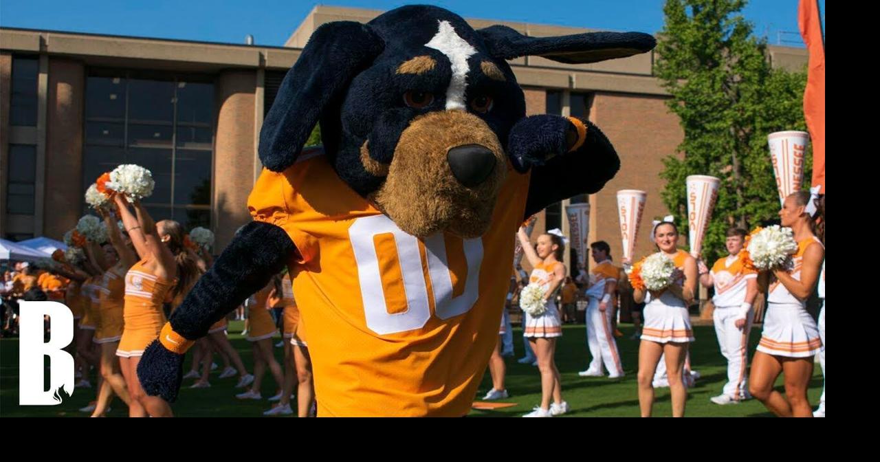 The Spirit of the Tennessee Mascots | Multimedia | utdailybeacon.com