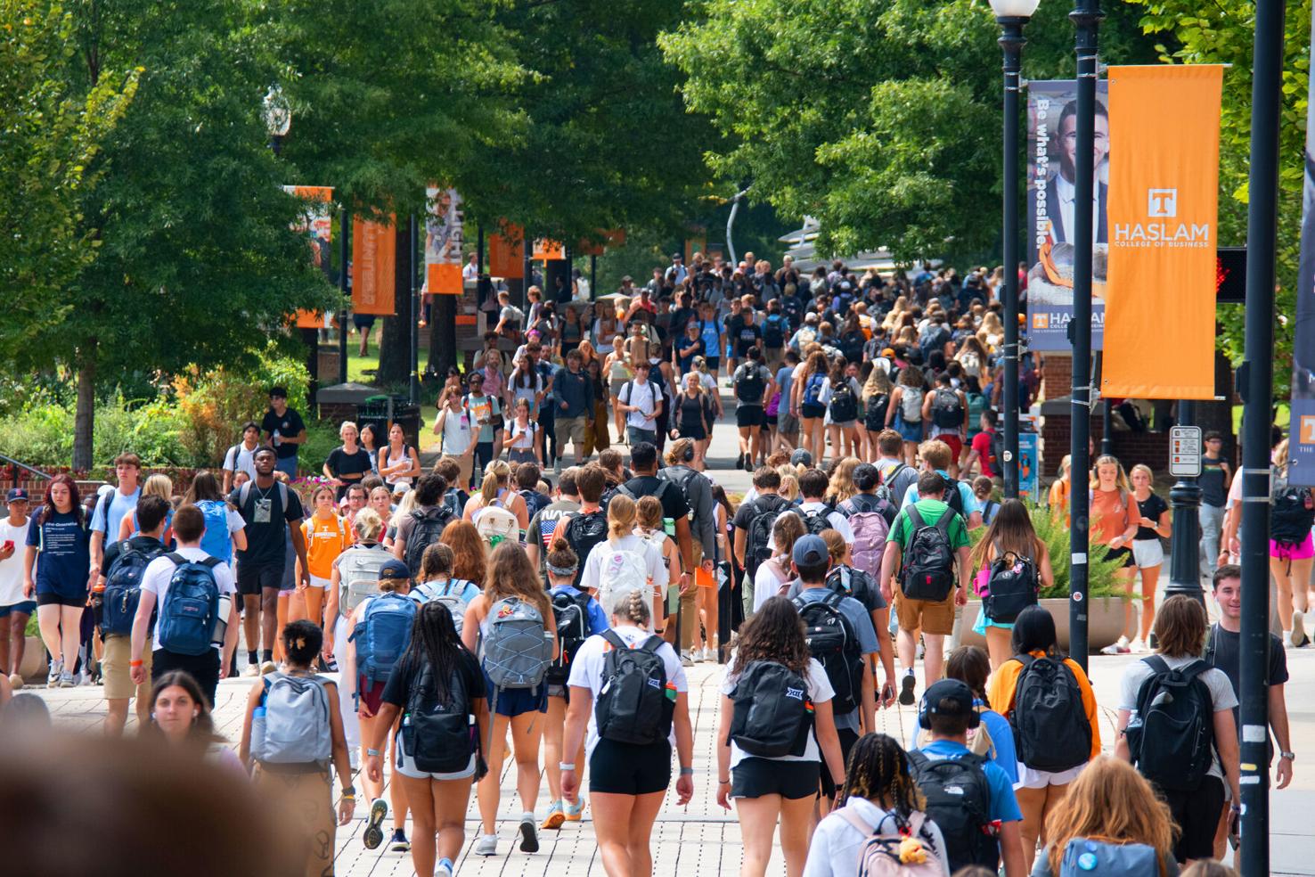 Enrollment on the rise: UT sets institutional record for student ...