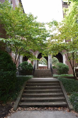 Exploring Rocky Top: Hidden spots around campus | Campus Life ...