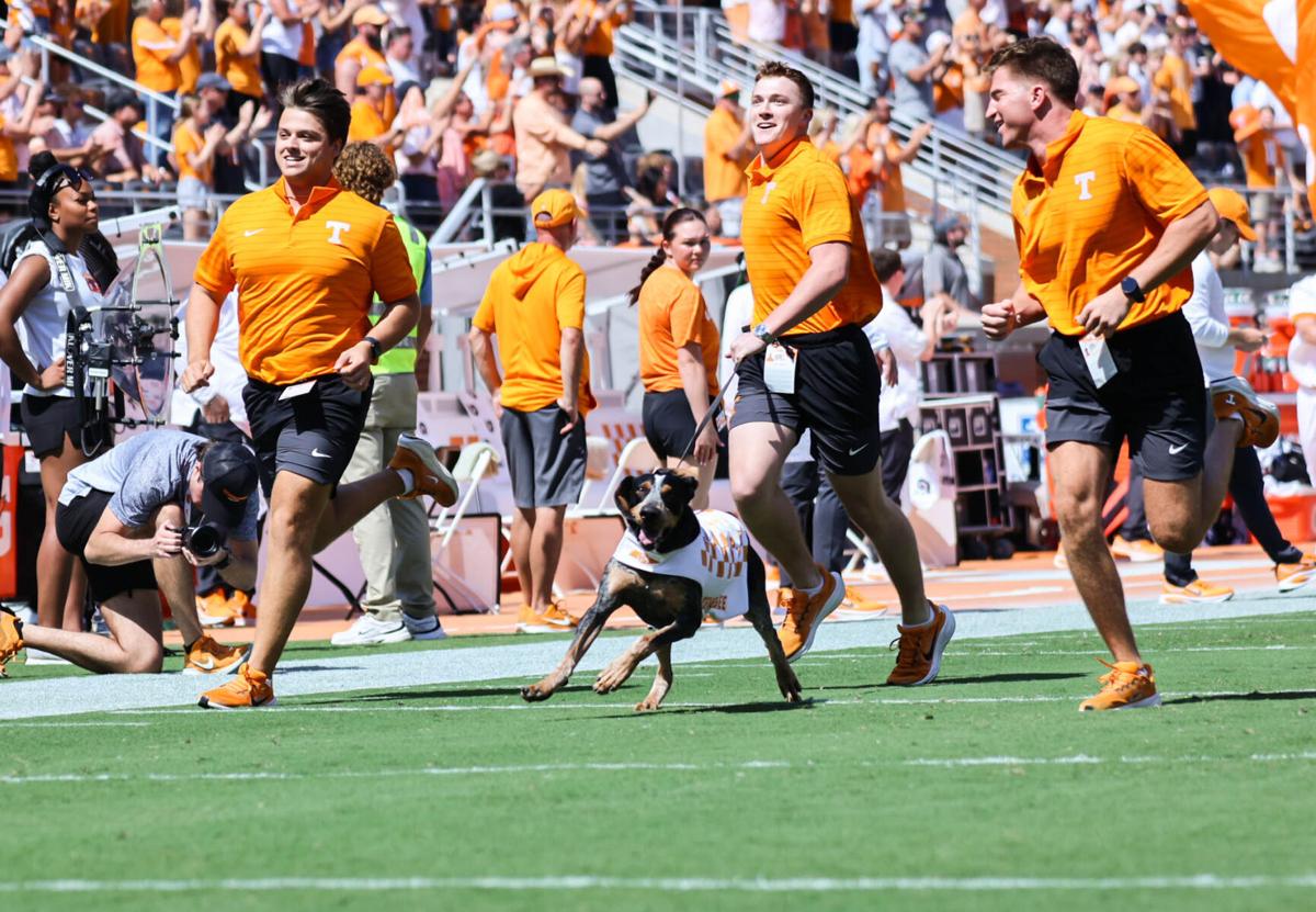 Training Smokey: Inside Garrett Reeves’ life as mascot handler | Campus ...