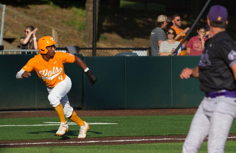 Baseball vs. Tennessee Tech | Baseball | utdailybeacon.com