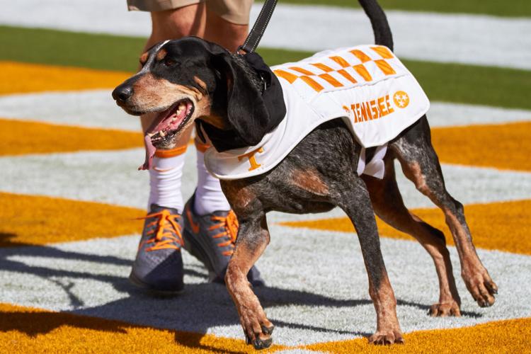 UT vs. Georgia State University | Football | utdailybeacon.com