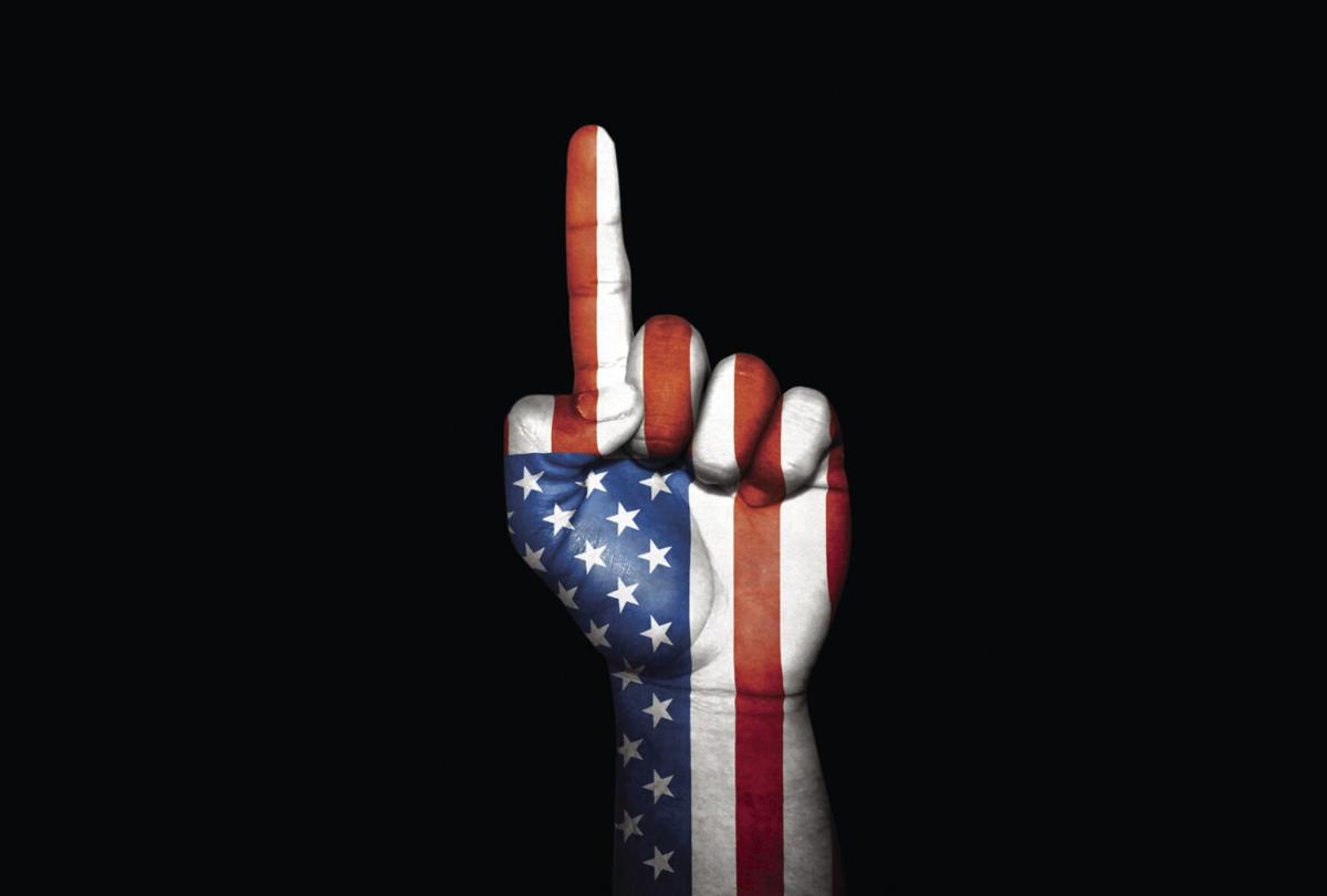 Purple is the New Party: Pointing fingers | Opinion | vcreporter.com