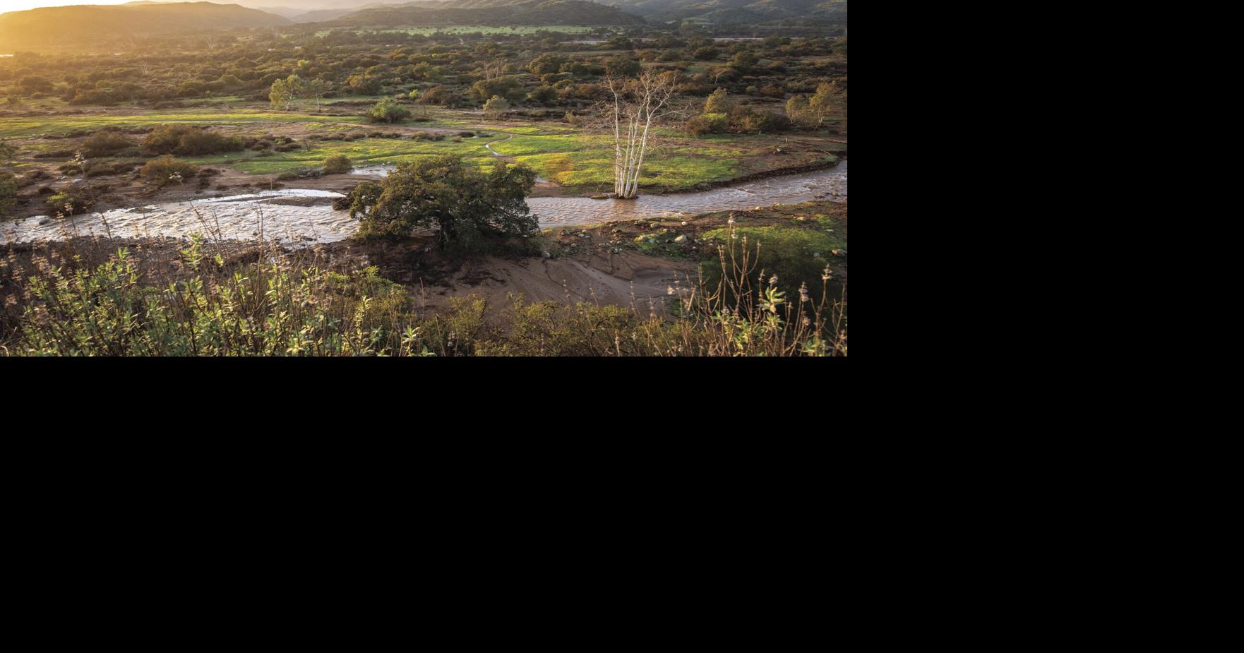 Habitat for All: Ventura Parkway and other preserves protect wild ...
