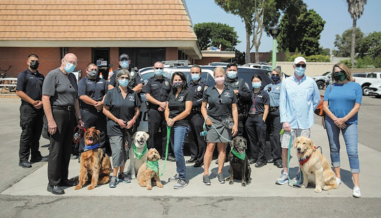 FUR THERAPY | VIP Dog Teams trains therapy-facility dogs | News ...