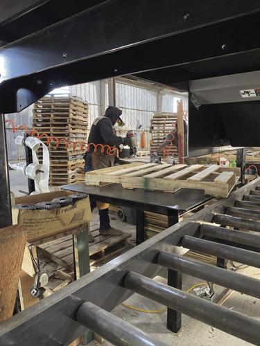 Quick Green Tip: Pallet glut hurts recyclers and could signal slowing ...