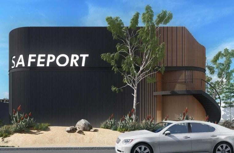 “IT FEELS LIKE WE ARE PART OF A CULTURAL REVOLUTION” | Safeport’s ...