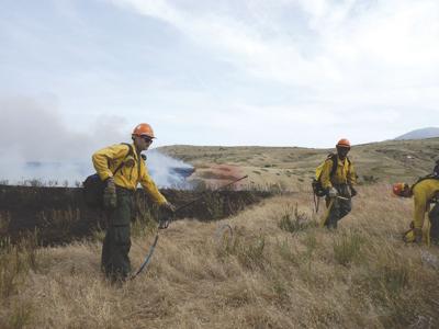 Revisions made to Channel Islands fire management plan | News ...