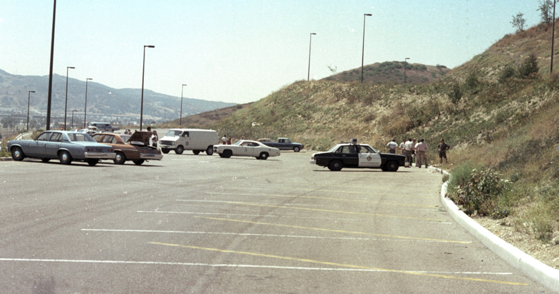 Cold Case ID: DNA Doe Project identifies murder victim from 1980 | News ...