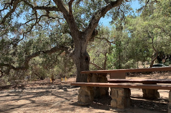 FREE OUTSIDE FUN | With playgrounds, trails and more, local parks are ...