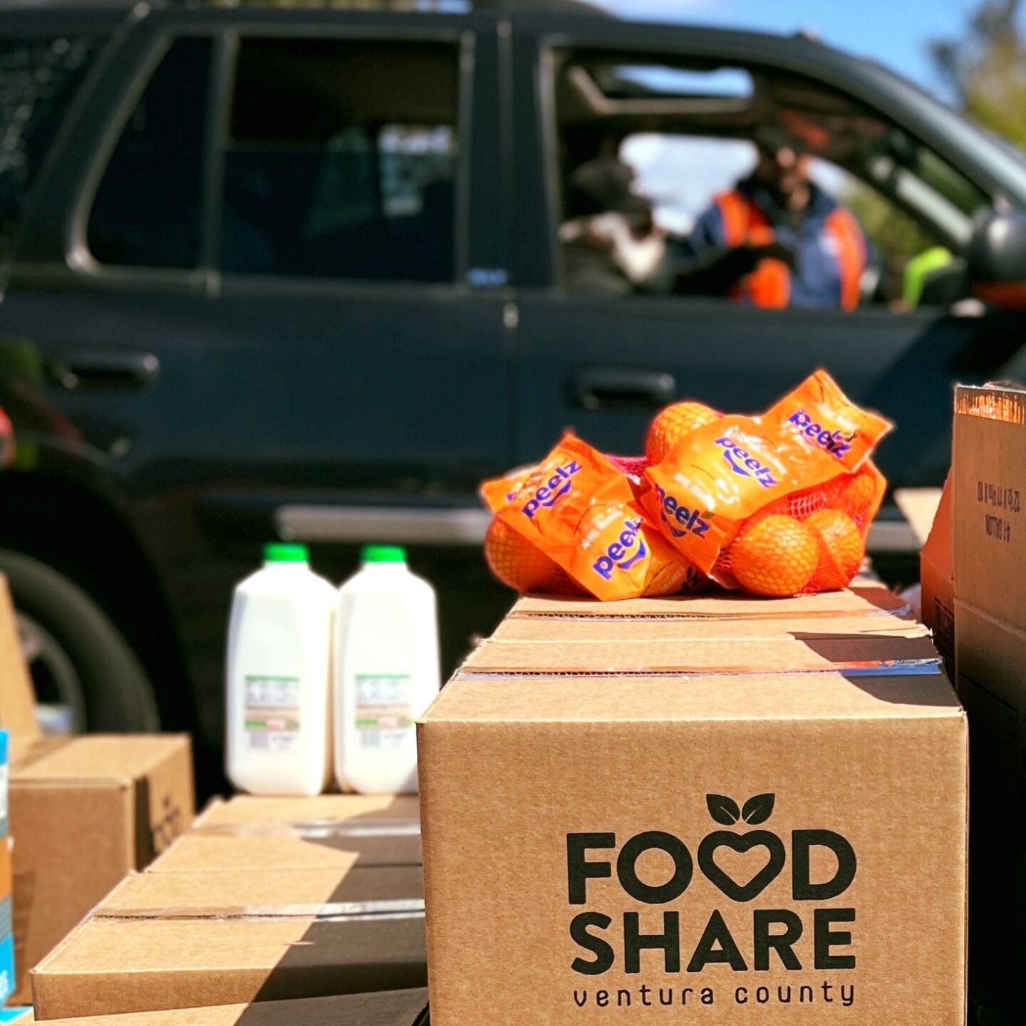 Quick Green Tip: Grease recycling and fruit gleaning after Thanksgiving ...