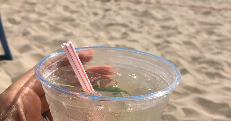 SHAKEN & STIRRED | The Rudder Room | Dining | vcreporter.com