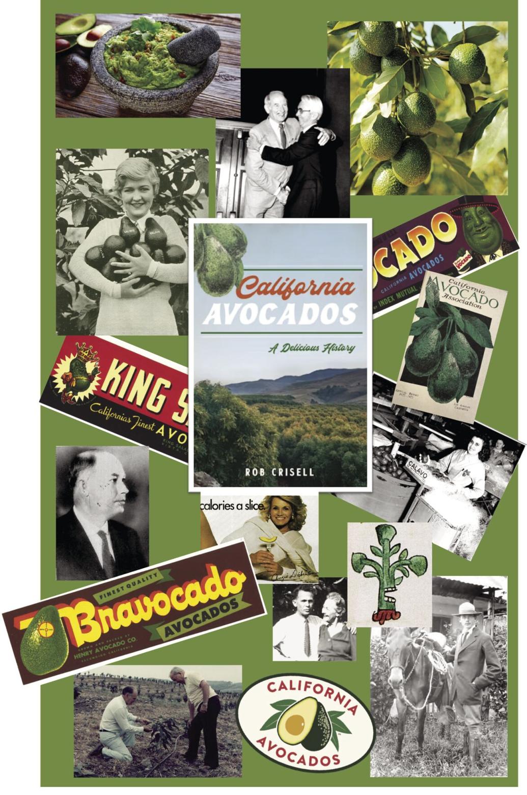 Fascinating Fruit: New book delves into the long, rich history of the ...