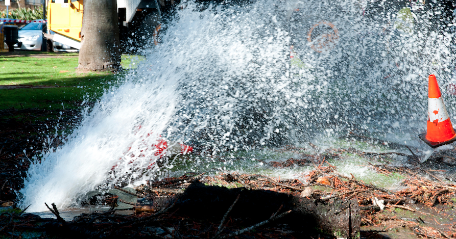 EYE ON THE ENVIRONMENT | Report water wasters, but know the difference ...