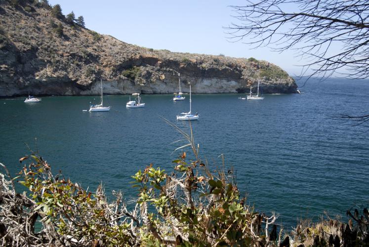 NOAA Cuts Raise Alarms: Local experts warn of ecological impacts caused ...