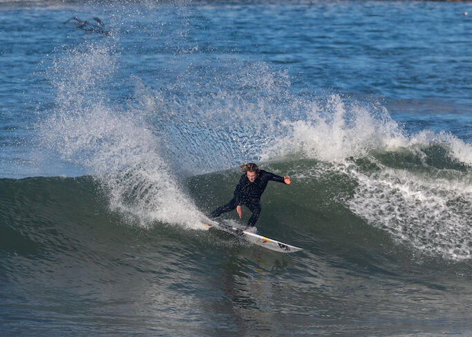 GOLDEN TOUCH | 19-year-old Dimitri Poulos looks set to barrel into the ...