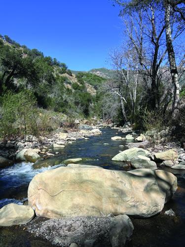 North Fork Passage: After 18 years, the Wheeler Gorge fish passage and ...