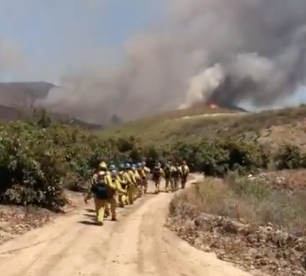 ELIZABETH FIRE | Ongoing reporting | News | vcreporter.com