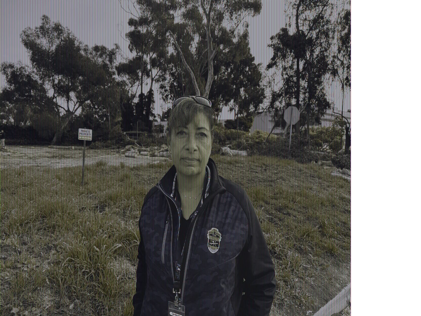 Vista Del Mar Trees Cut Down: Monarch butterfly habitat removal sparks ...