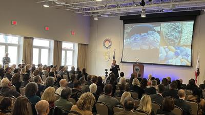 The Shadow Pandemic | Features | vcreporter.com