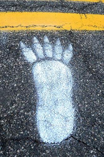 Bigfoot steps sighted on Mingus | News | verdenews.com
