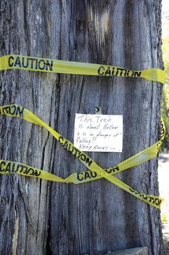 Camp Verde’s Verde Lakes Community Park receives new additions, still ...