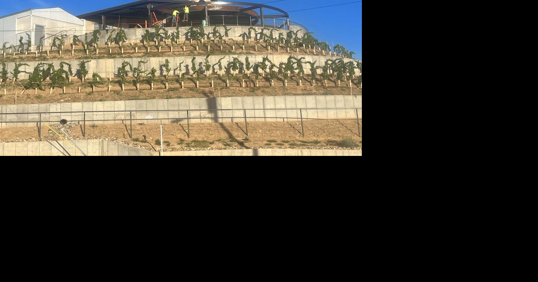 Maynard’s Old Town winery project to open Oct. 6 | Local | verdenews.com