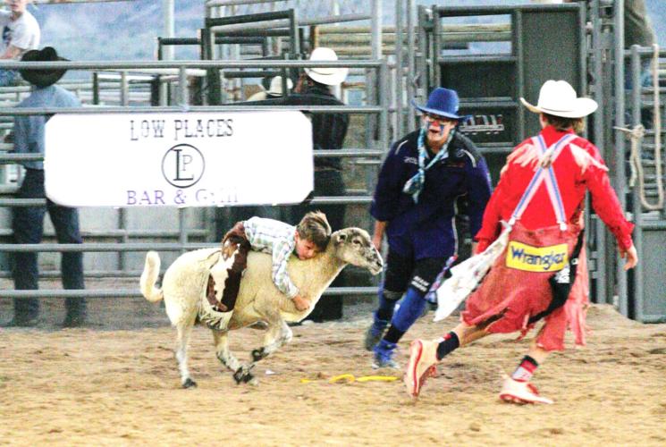 Fort Verde Days rodeo a success | Camp Verde Bugle | verdenews.com