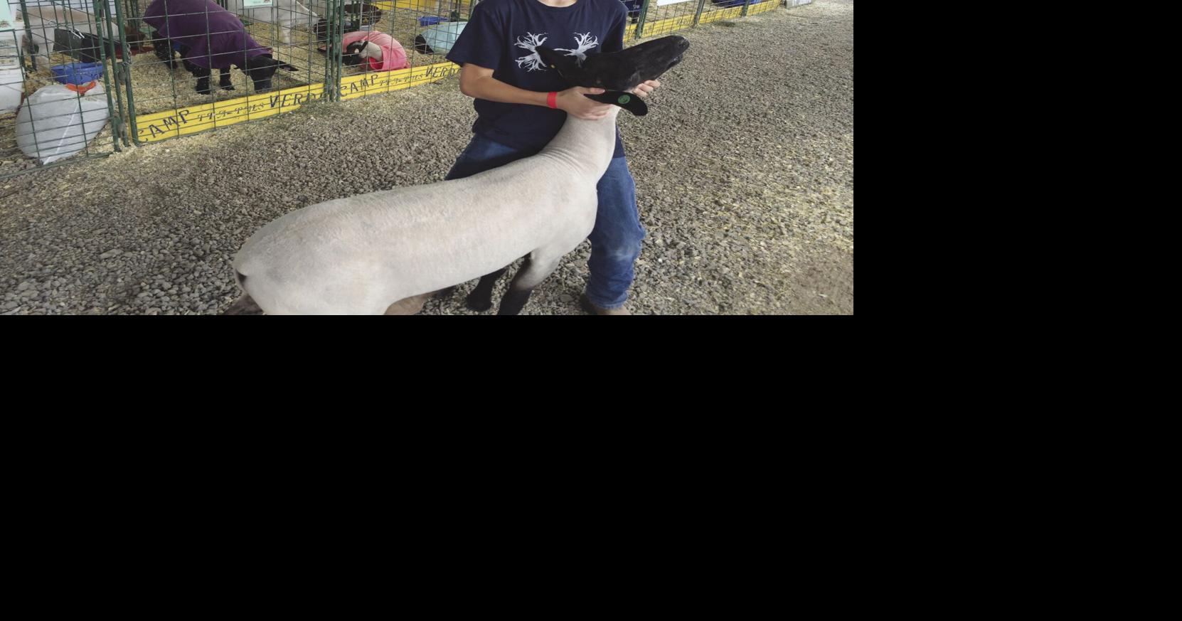 Verde Valley Fair Schedule of Events | News | verdenews.com