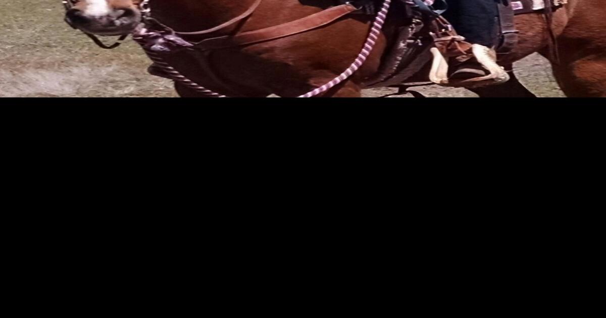 tony gioia horseback | | verdenews.com