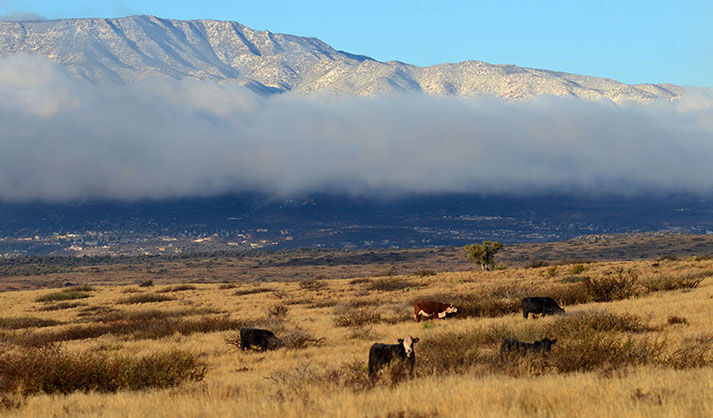 Snow and thundersnow in Verde Valley | News | verdenews.com