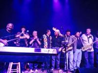 Limbs Akimbo Band host reunion concert | Nightlife | verdenews.com