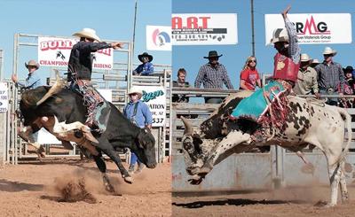 The Bull Bash is back | Kudos | verdenews.com