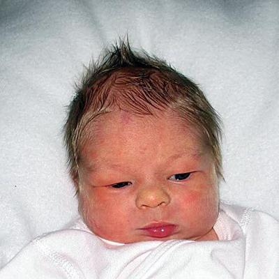 New Arrival: Trenton Tanner Brock | Celebrate | verdenews.com